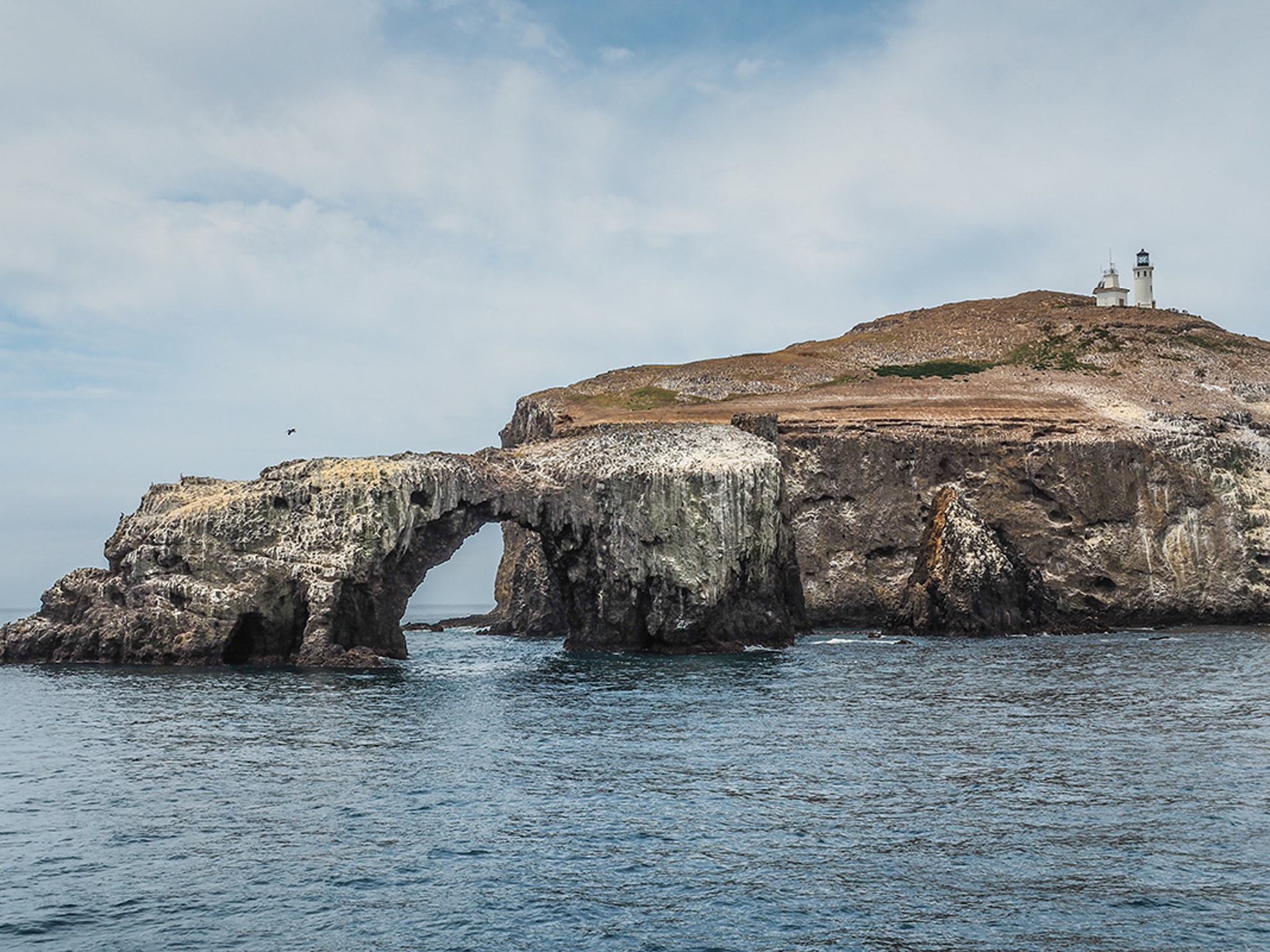 Good Times Travel - Anacapa Island Wildlife Cruise