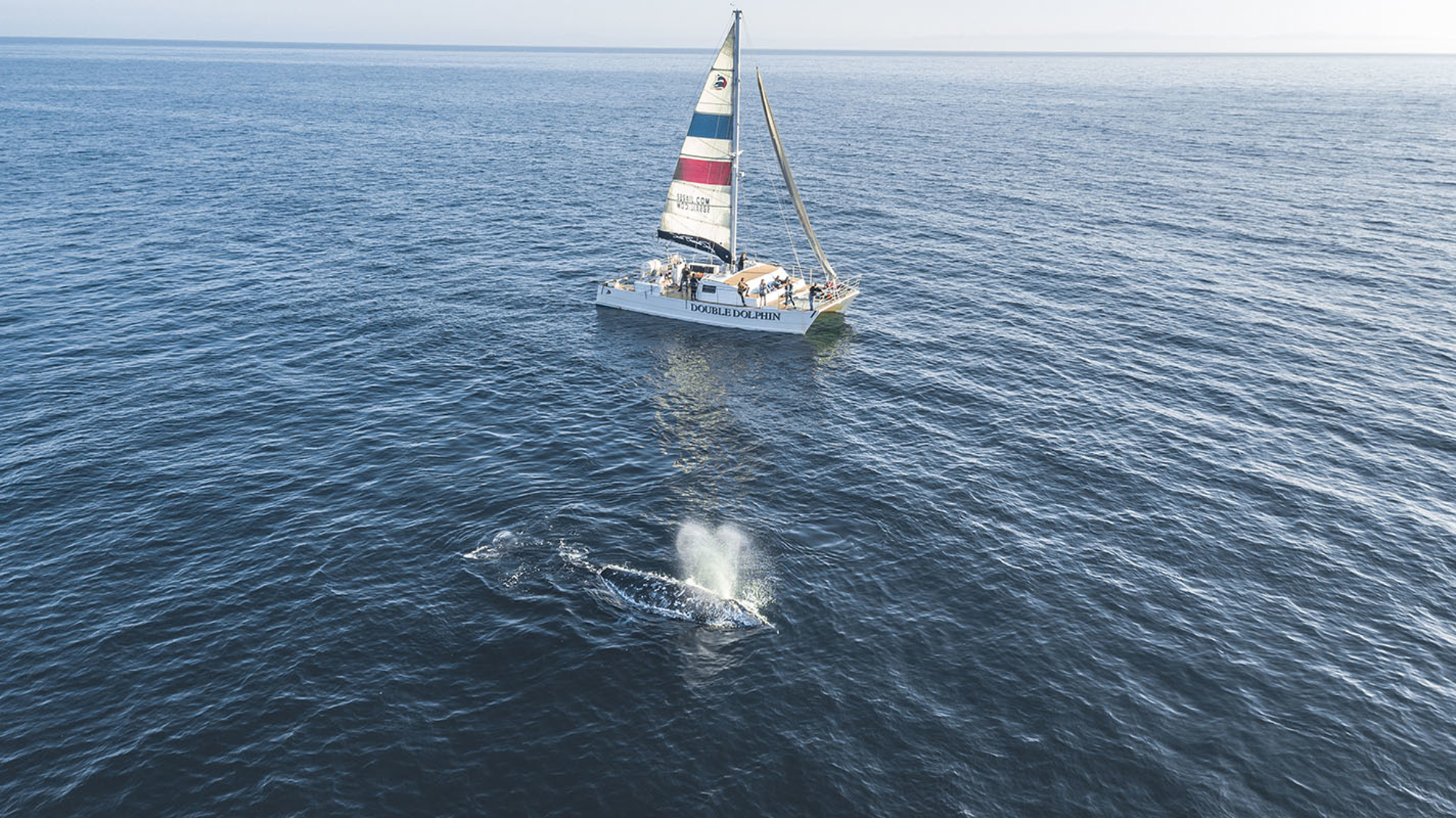 Good Times Travel - Santa Barbara Rail N' Sail